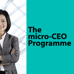 ProfitAbility - Business Simulation Programmes